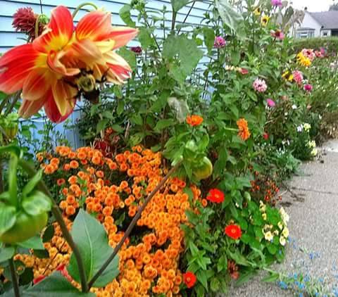 Another good reason to get those 10,000 hours of practice | Katrina ...